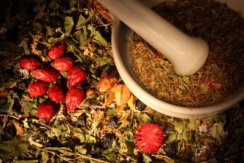 Indigenous Healing Knowledge Adopted by European Settlers in Upper ...