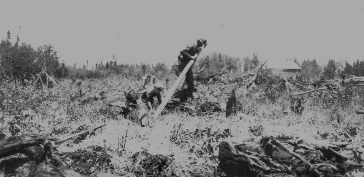 Farmborough, Quebec — Erased but not Forgotten – Catherine Grove